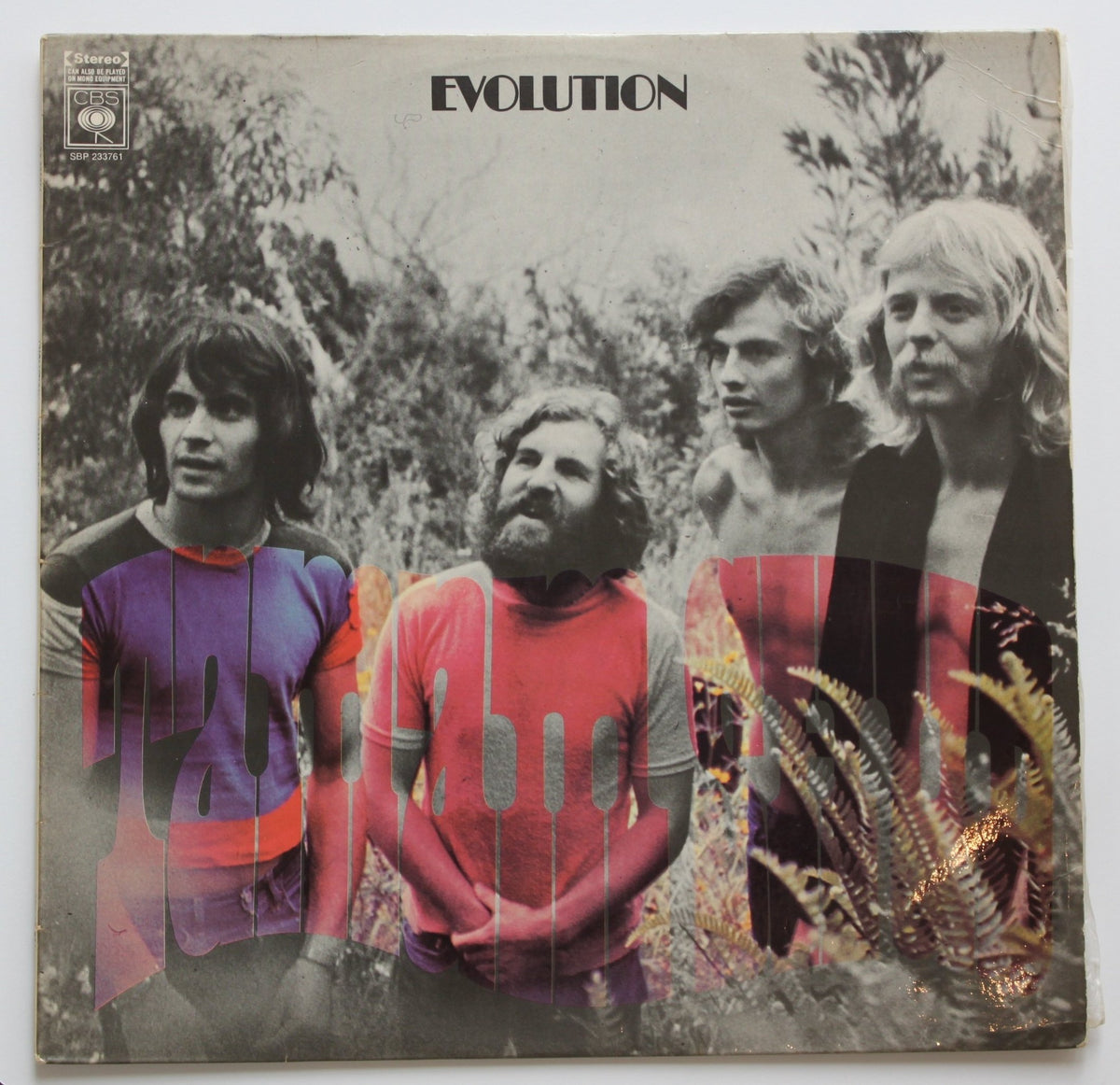 Evolution. Soundtrack album. 1969. – Wild on the Beach